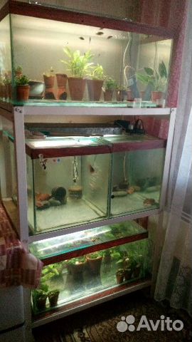 Стойка с аквариумами