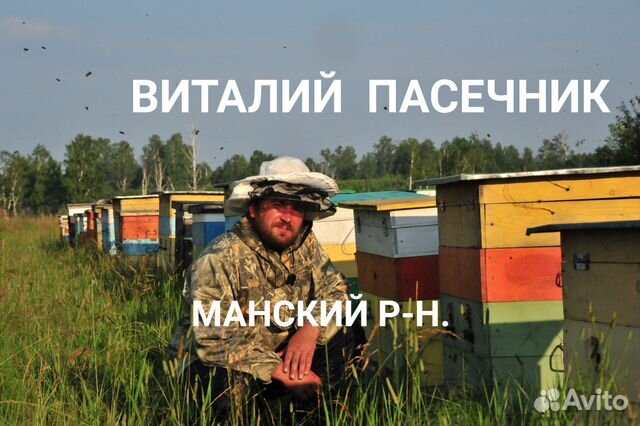 Пчелопакеты,пчелосемьи
