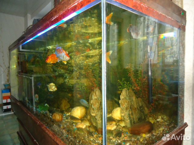 Аквариум 750л