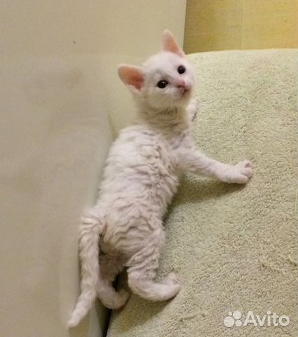 Мечты сбываются) Сливочный Зефирчик) Неаллергенный