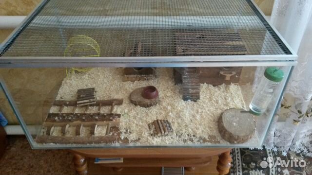Продам Террариум с хомячком