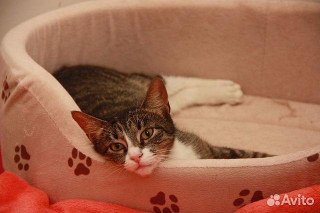 Харизматичная Санта ищет своего человека