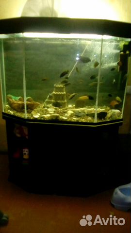 Аквариум на 500 л