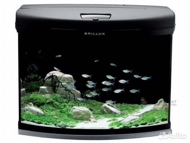 Аквариум Brillux 60o
