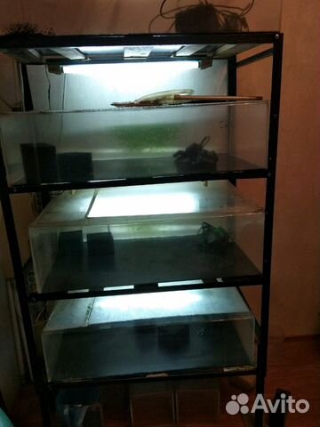 Аквариумная стойка с 4 банками+ 2 аквариума, оргст