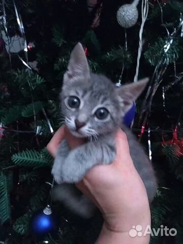 Малыш