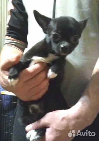 Мальчик чих