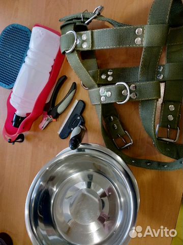 Намордник миски поилка ножницы расческа щетка