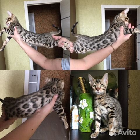 Мальчишка ласкун