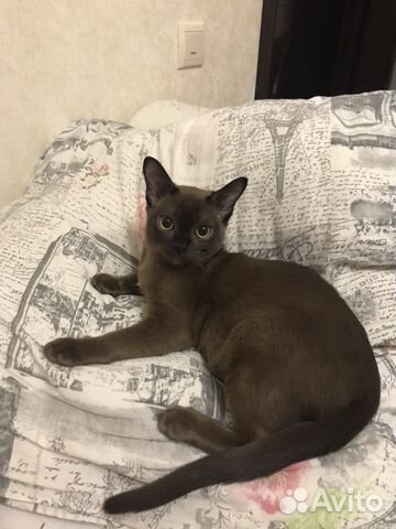 Бурманская