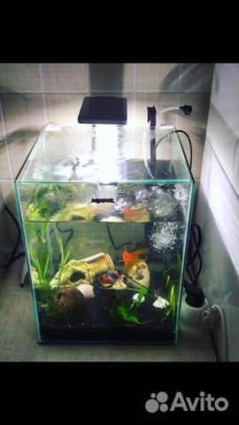 Нано- Аквариум Aquael Shrimp Set Smart 30 литров