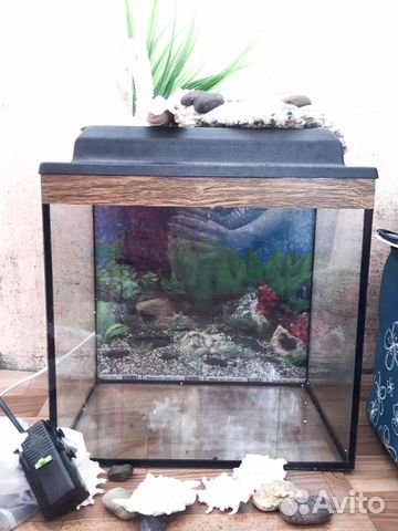 Аквариум