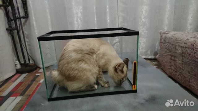 Аквариум 23л