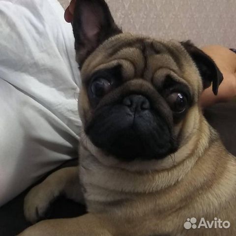 Вязка