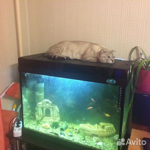 Аквариум