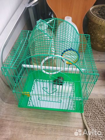 Канорейка + клетка
