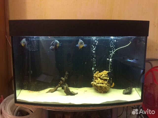 Аквариум