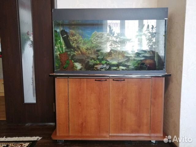 Аквариум