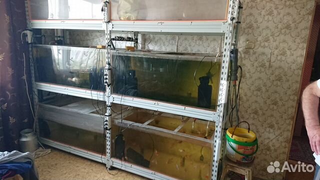 Аквариумы, Стелажи в подарок