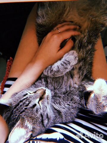 2 ласковые сестрички