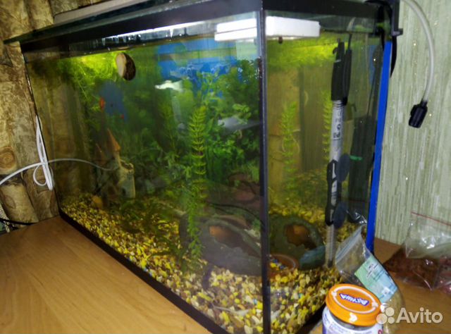 Акавариум