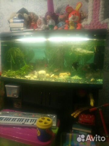 Аквариум