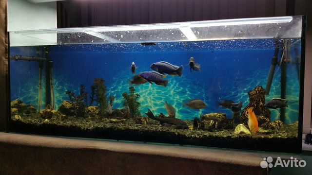 Аквариум 400 л. полный комплект