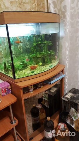 Аквариум с тумбой и рыбками