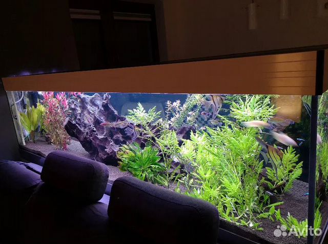 Аквариум 600л