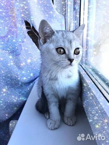 Малыш ждём мам и пап