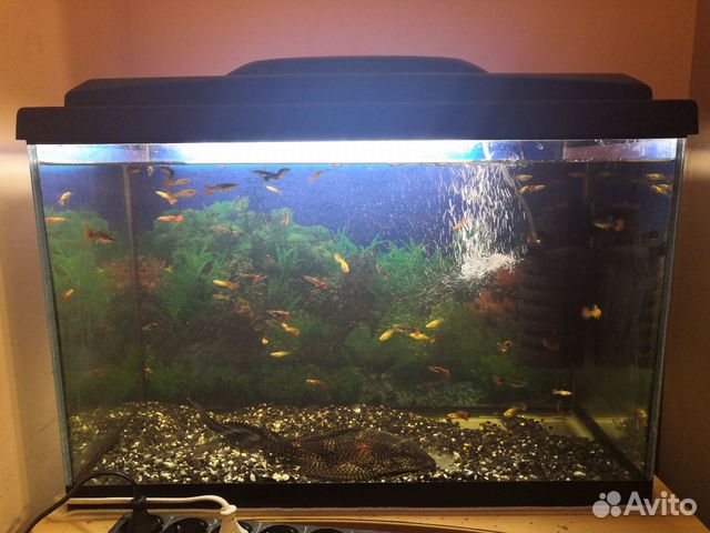 Аквариум 70 литров с рыбками