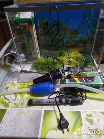 Аквариум со все рыбным хозяйством
