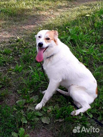 Девочка Джули