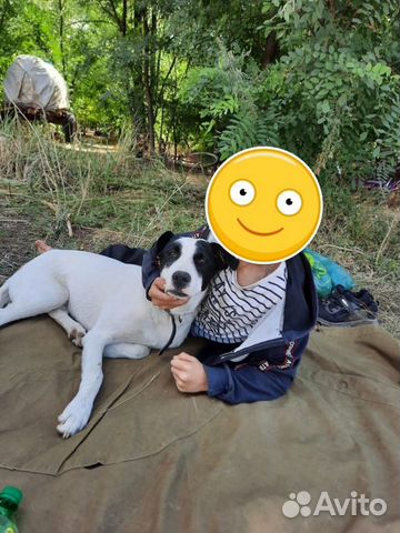 В добрые руки Лялька