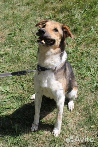 Спасите малышку Зиту