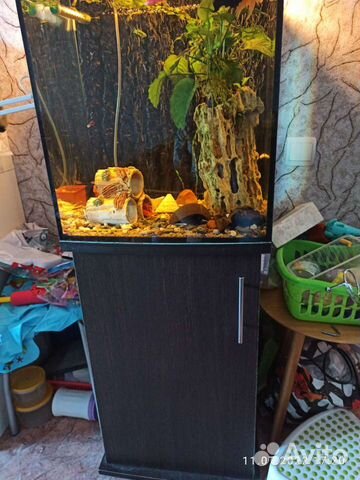 Аквариум на 90 литровв