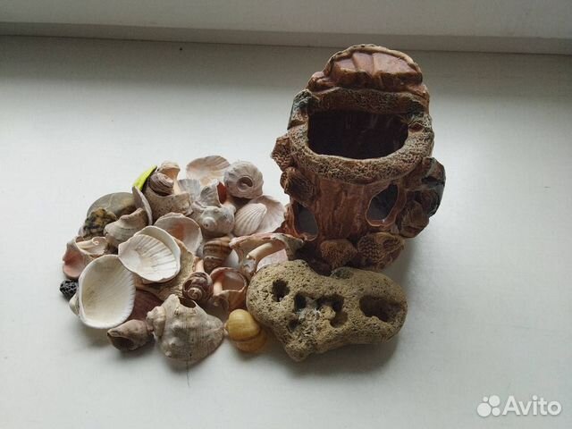 Декорация аквариума бочка с аквариумными ракушками