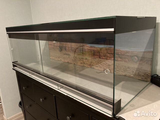 Пустынный террариум