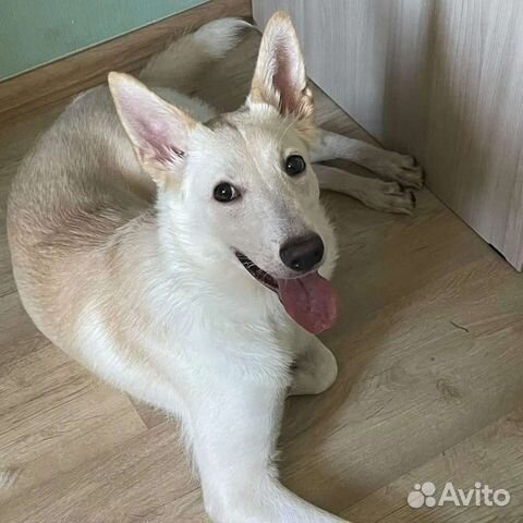 Шани в ожидании чуда и надежде что ее не выкинут