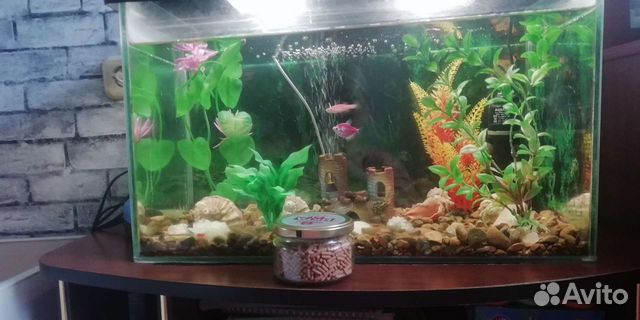 Аквариум