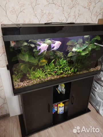 Аквариум