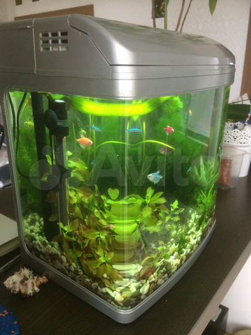 Аквариум jebo 331 в комплекте