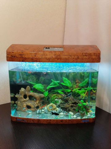 Действующий аквариум jebo R362